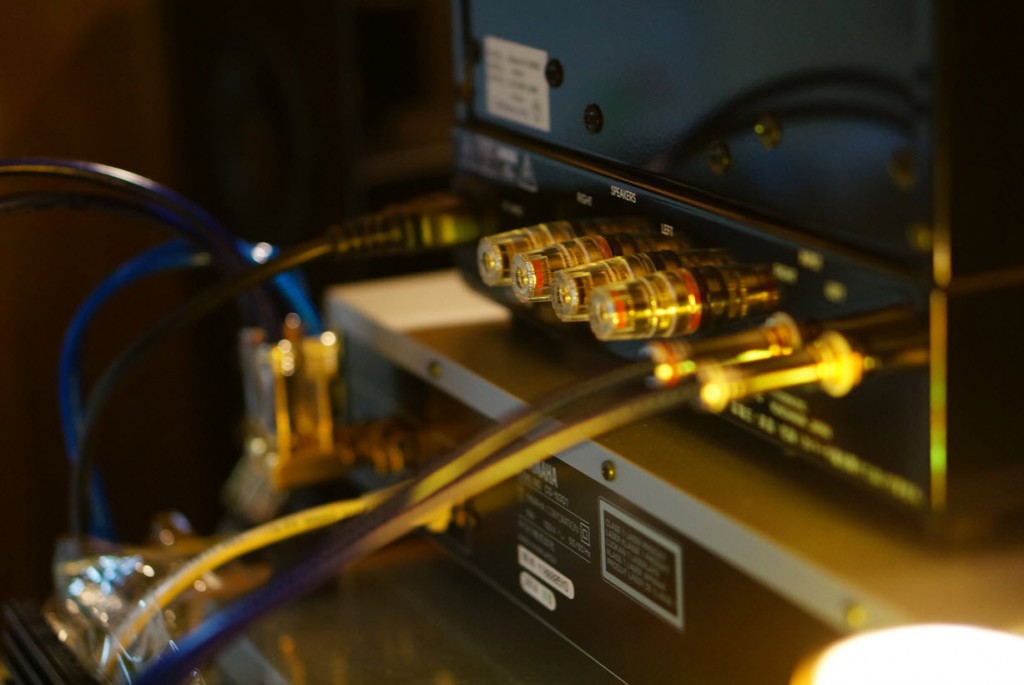 ソフトン真空管アンプModel-8 300Bで暖かく聴きやすい音へ～初心者にも優しいTubeアンプ | いろいろブログ